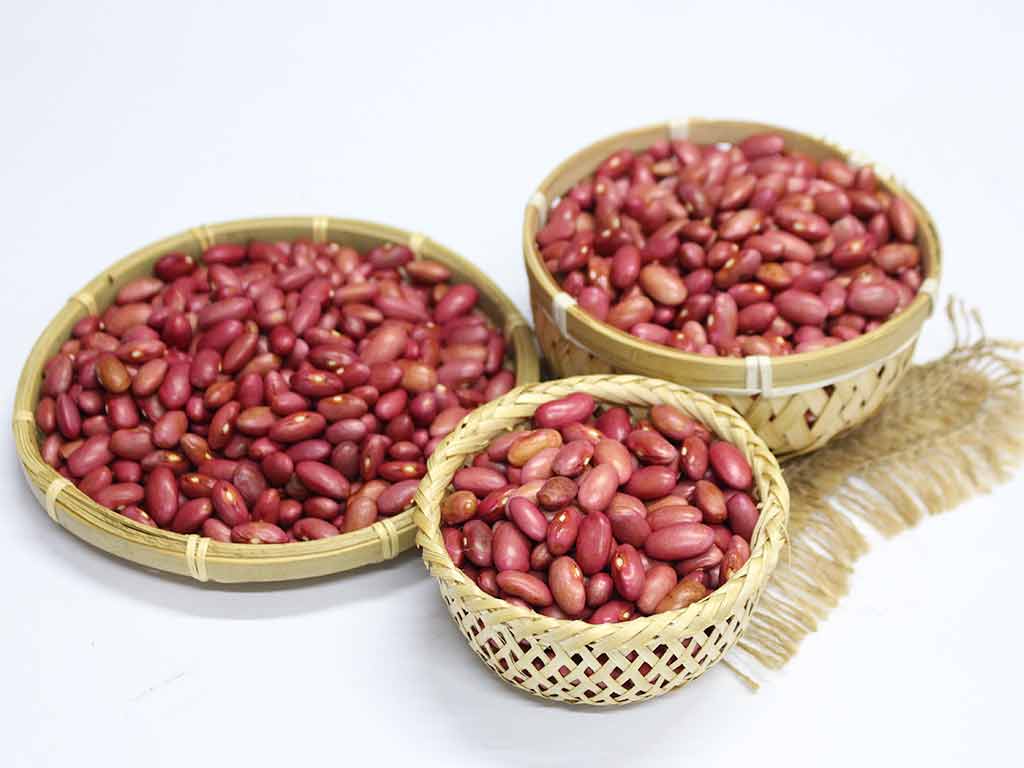 Đậu đỏ Đà Lạt | Farm 24h